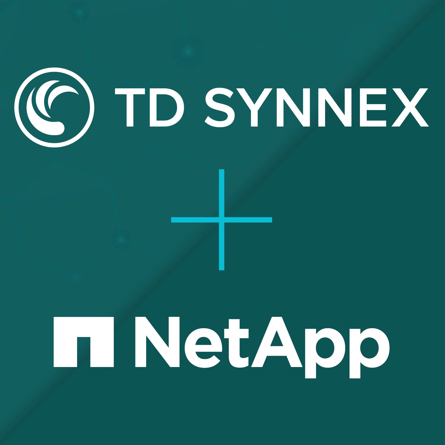 TD Synnex + NetApp