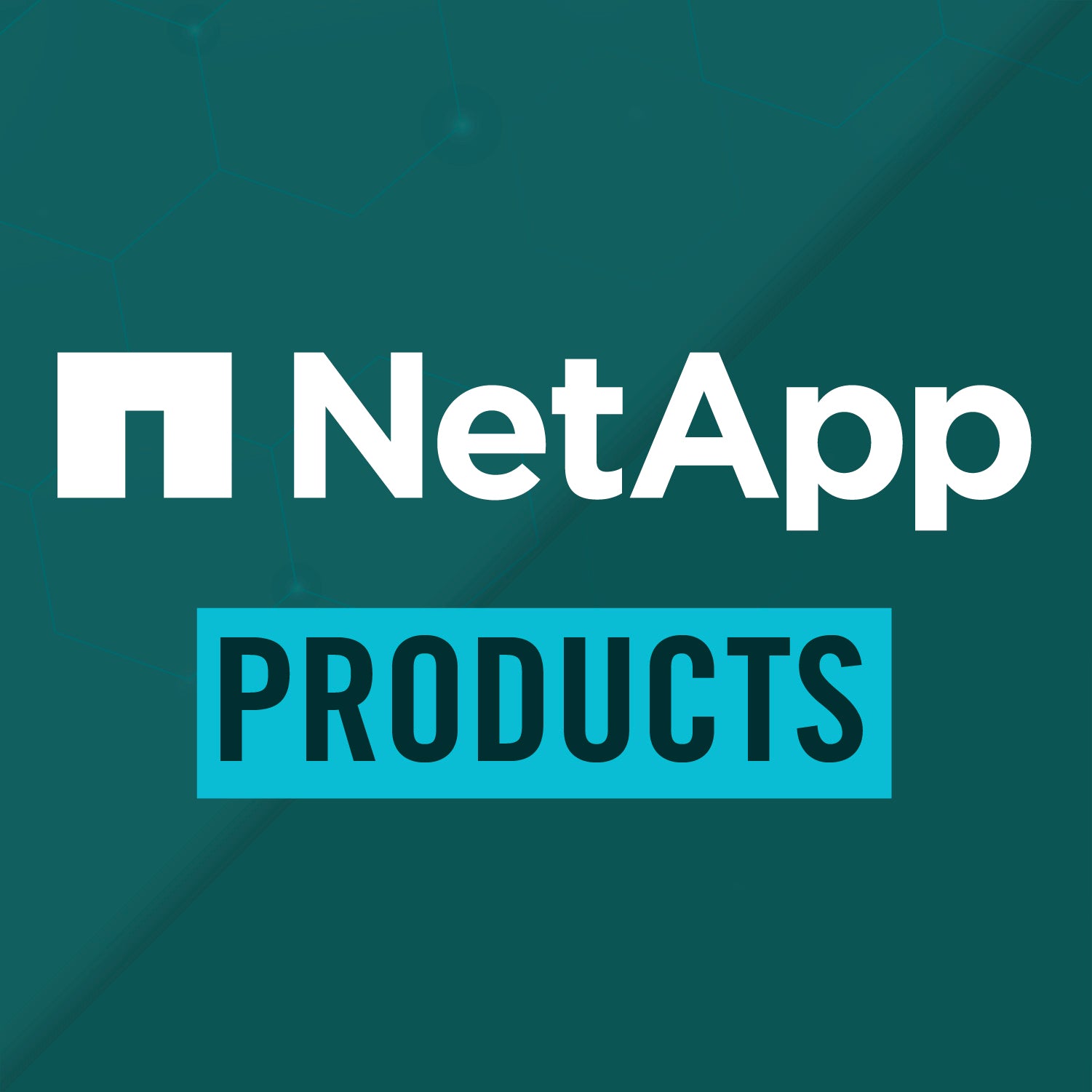 NetApp Products – TD Synnex